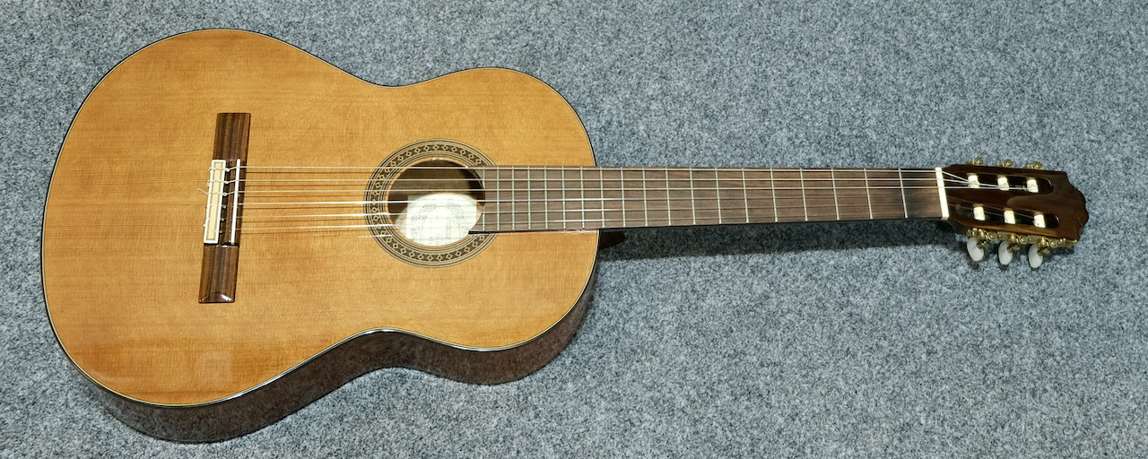 Acoustic Guitar & Folk Instruments