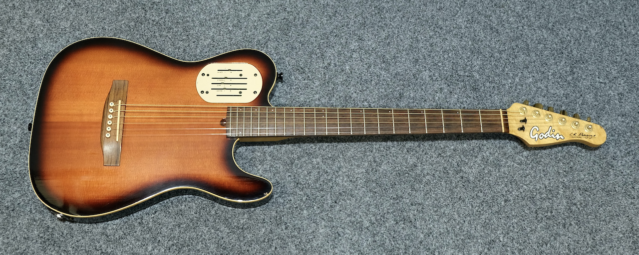 Electric Guitars